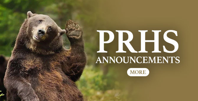 See the latest PRHS Announcements here | Palmer Ridge High School